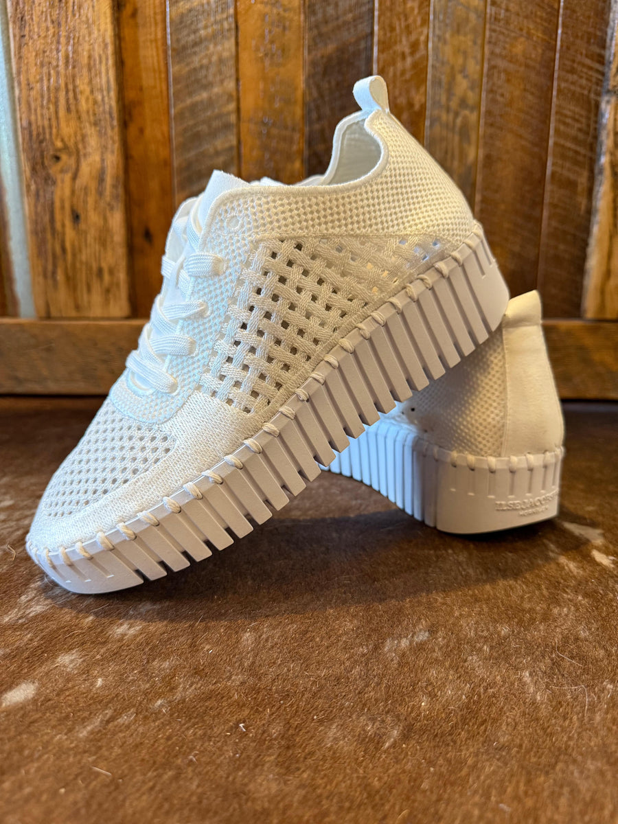 Women's Ilse Jacobson Shoes-White – Whiskey Ray's Boutique